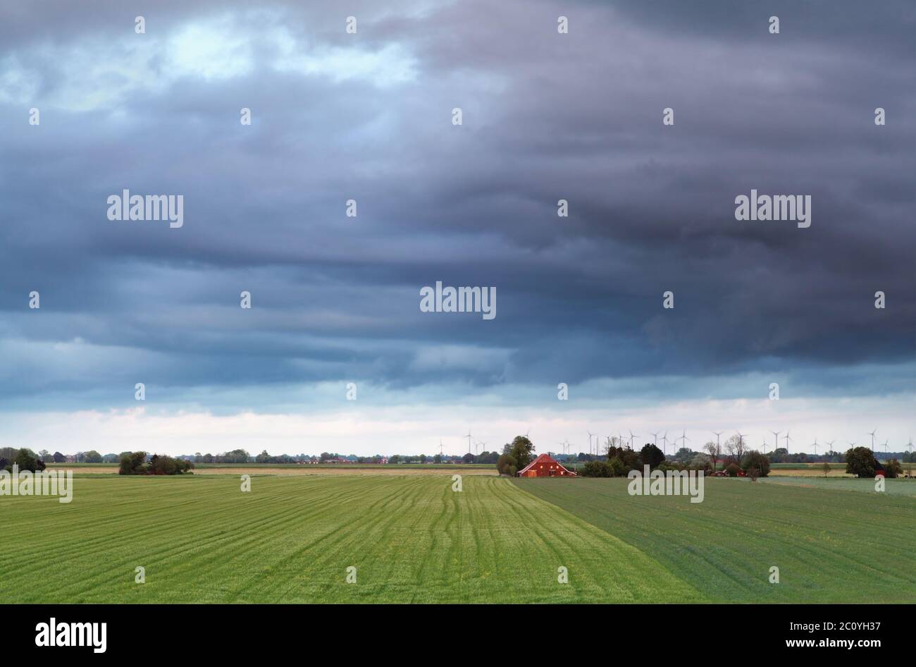 beautiful Dutch farmland in spring Stock Photo - Alamy