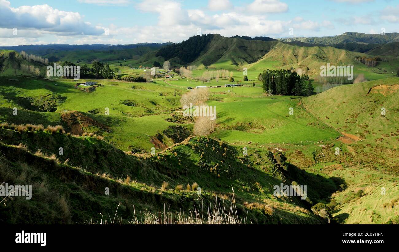 Taranaki rural road hi-res stock photography and images - Alamy