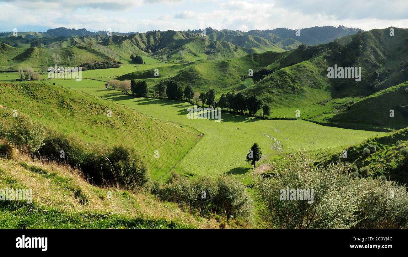 Nz country road hi-res stock photography and images - Alamy
