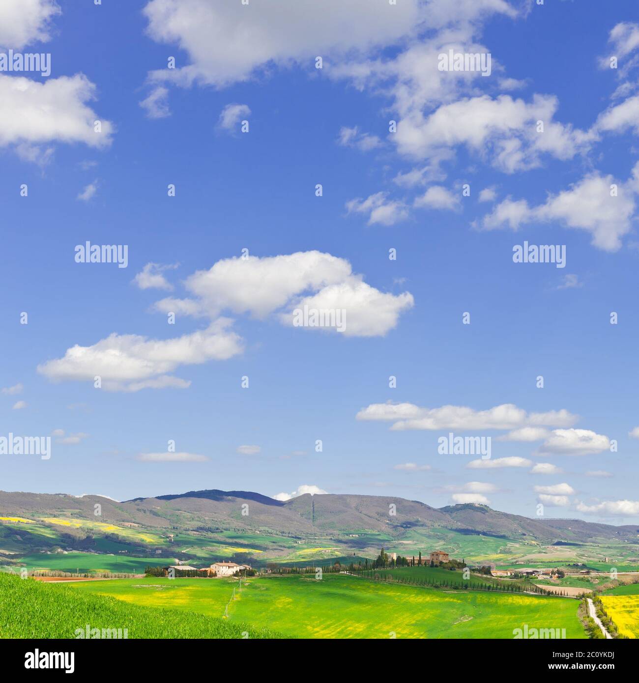 Meadows of Tuscany Stock Photo - Alamy