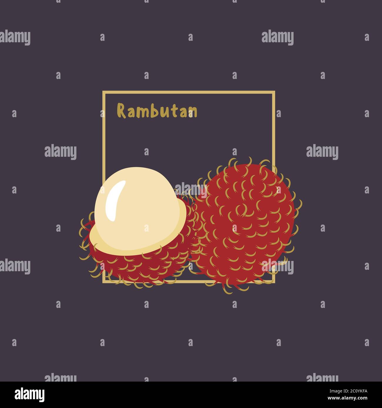 Hand drawing rambutan with slice on dark background. Cartoon icon, flat ...
