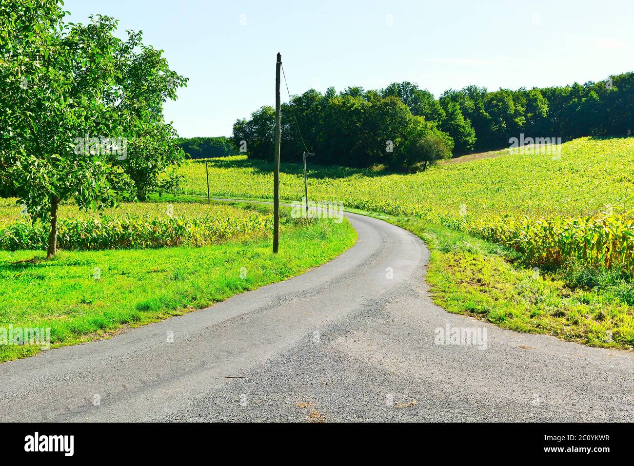 Corn in France Stock Photo - Alamy