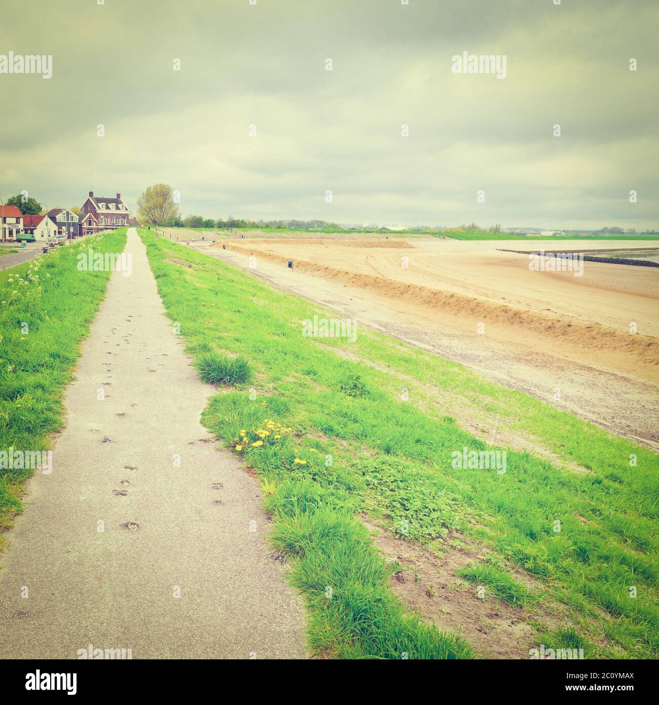 Protective grass hi-res stock photography and images - Alamy
