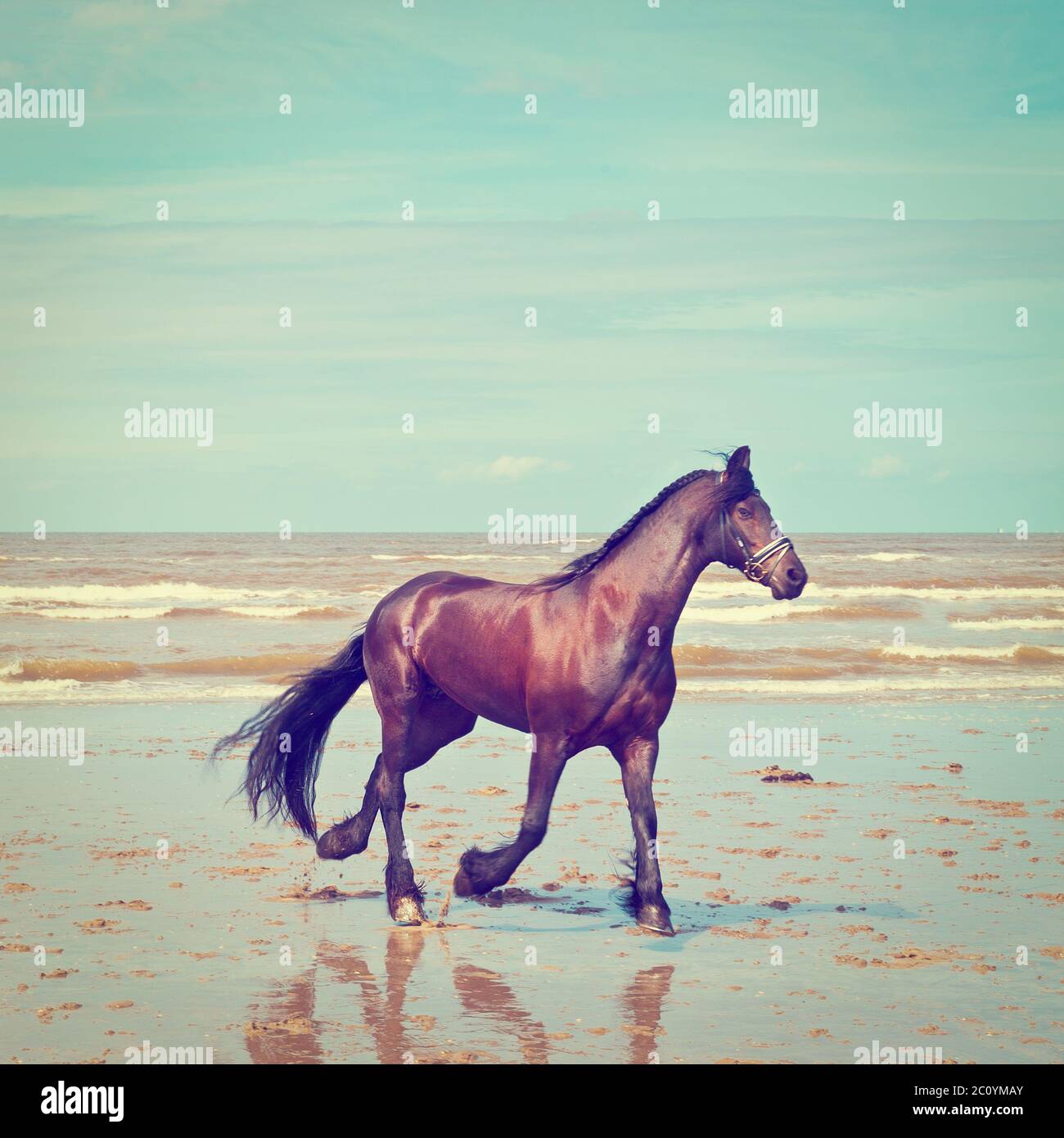 Vintage clouds horse hi-res stock photography and images - Alamy