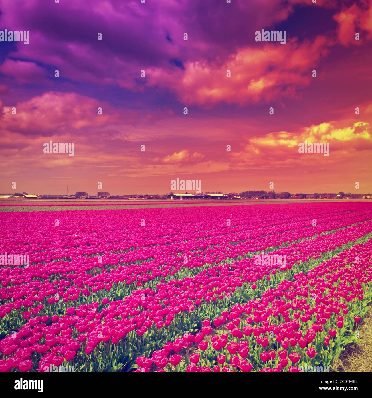 Retro sun bed hi-res stock photography and images - Alamy