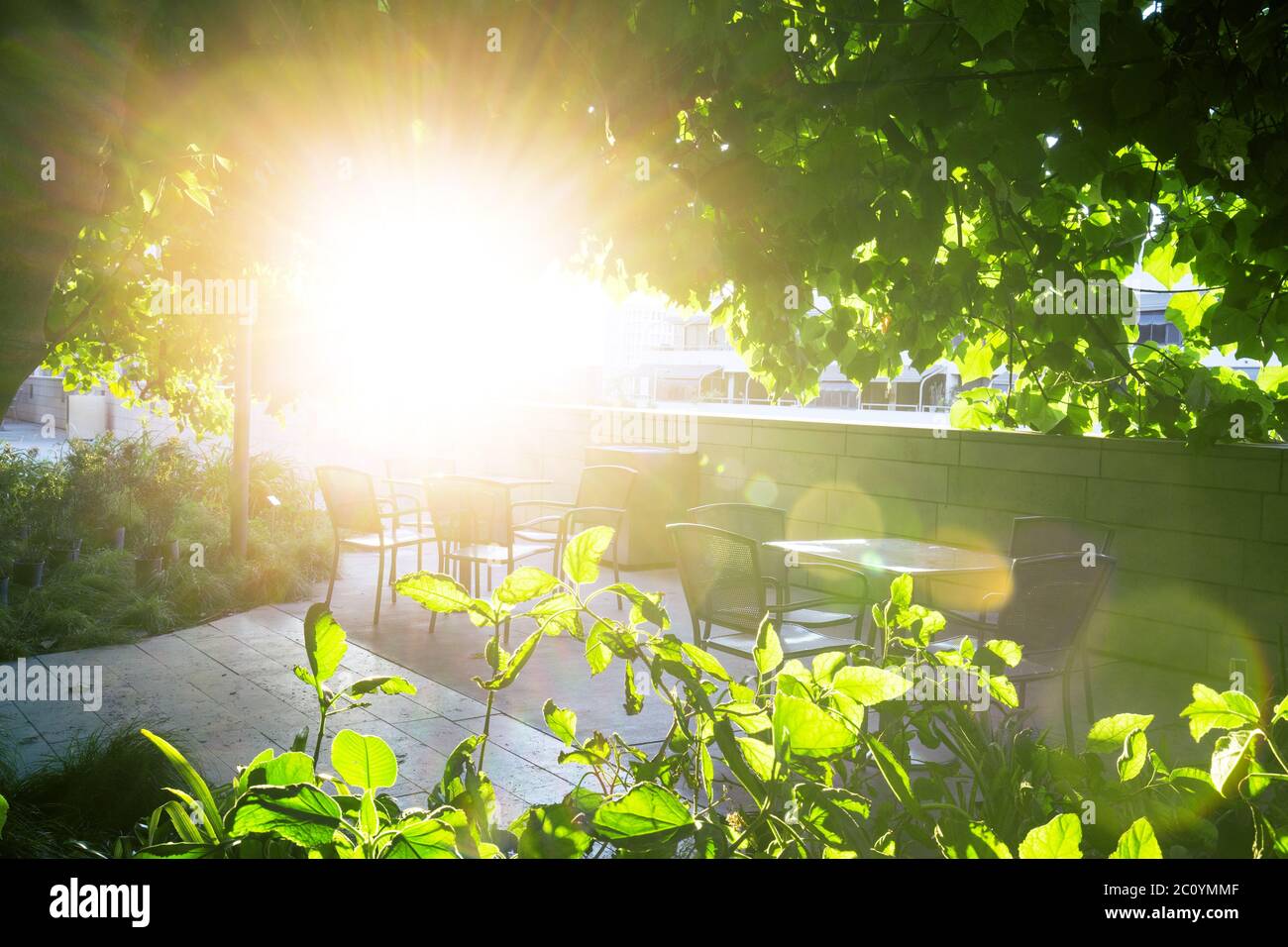 Sunny table hi-res stock photography and images - Alamy