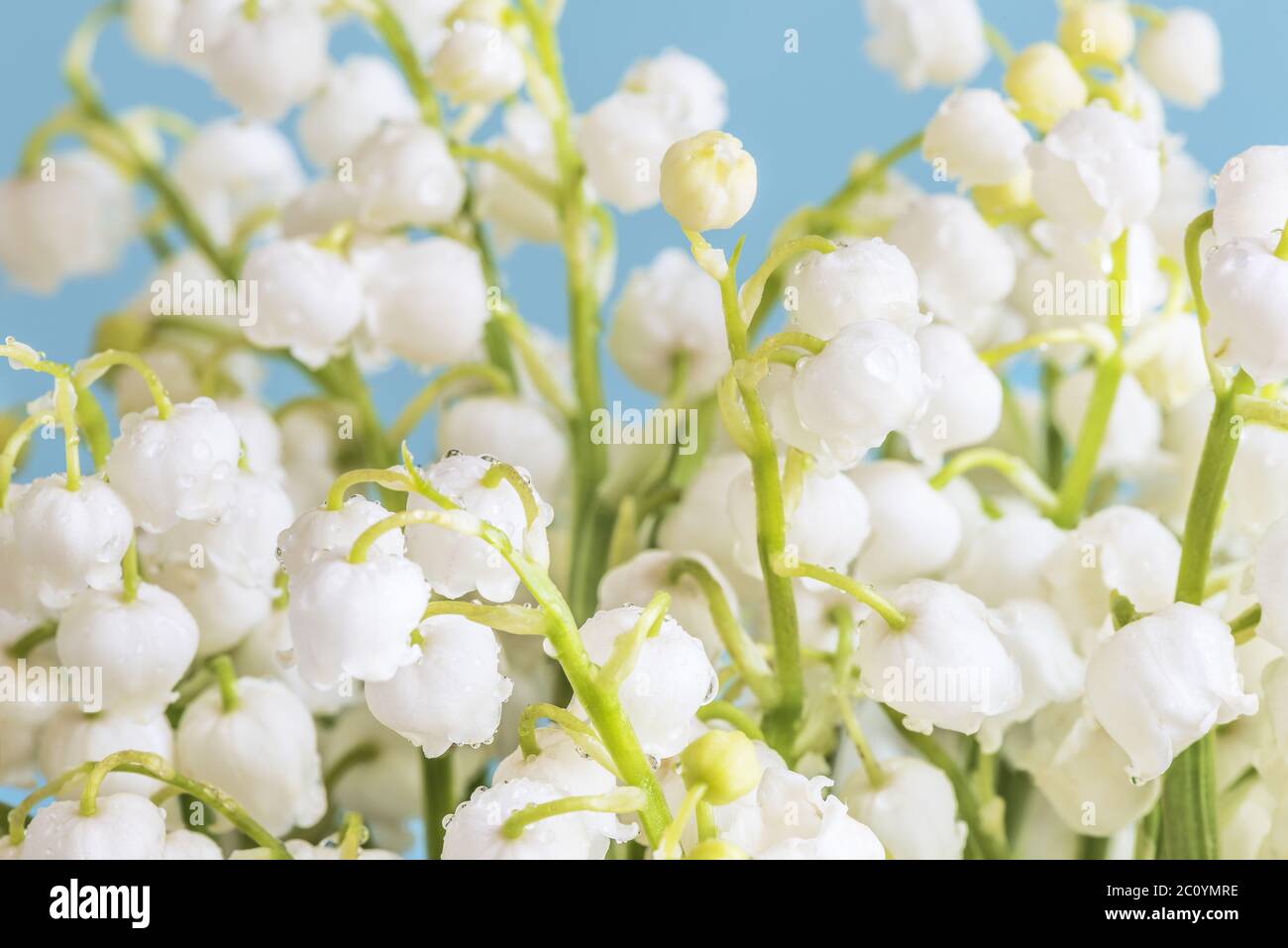 White bells hi-res stock photography and images - Alamy
