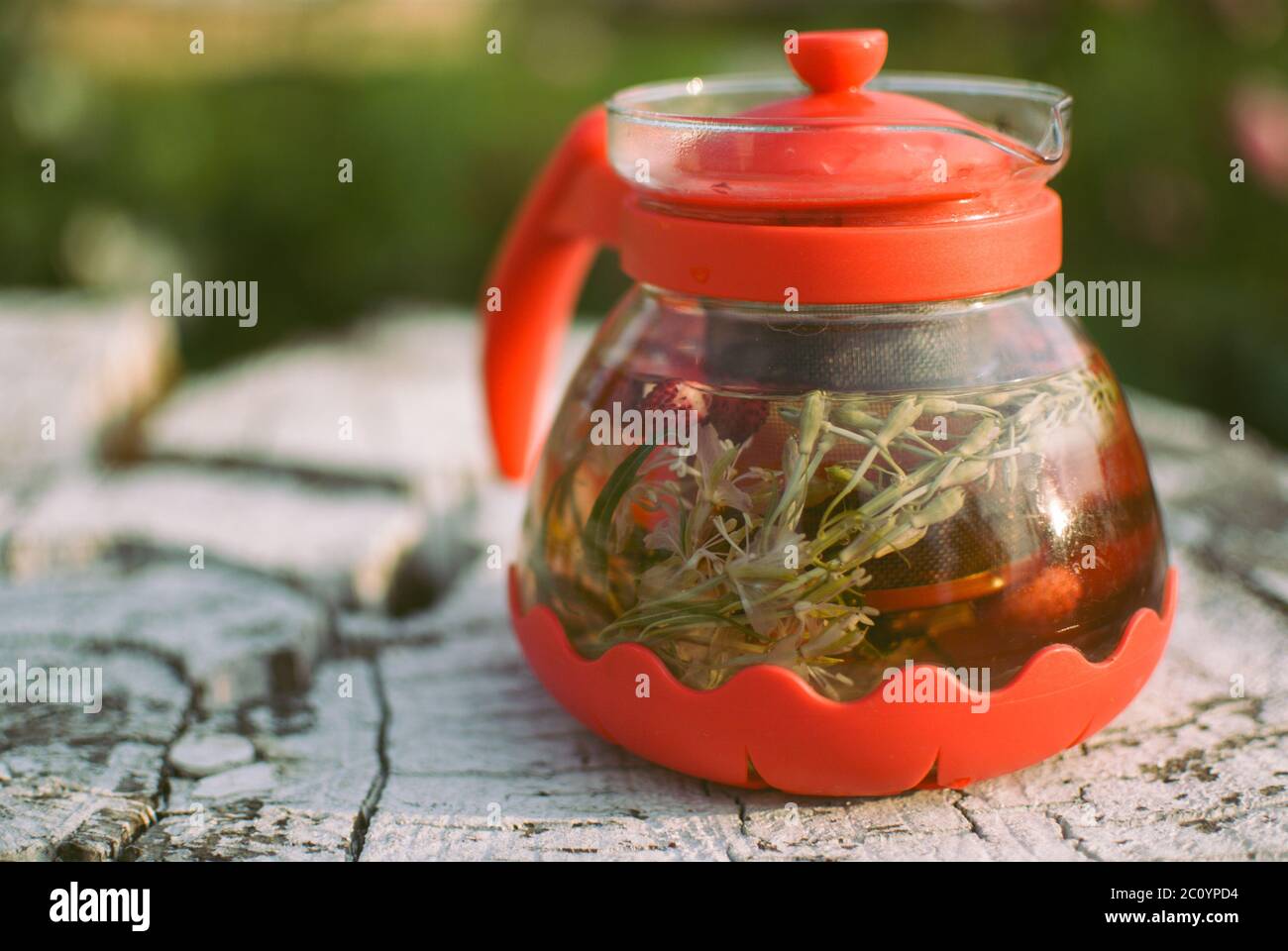 Blackberry tree pot hi-res stock photography and images - Alamy