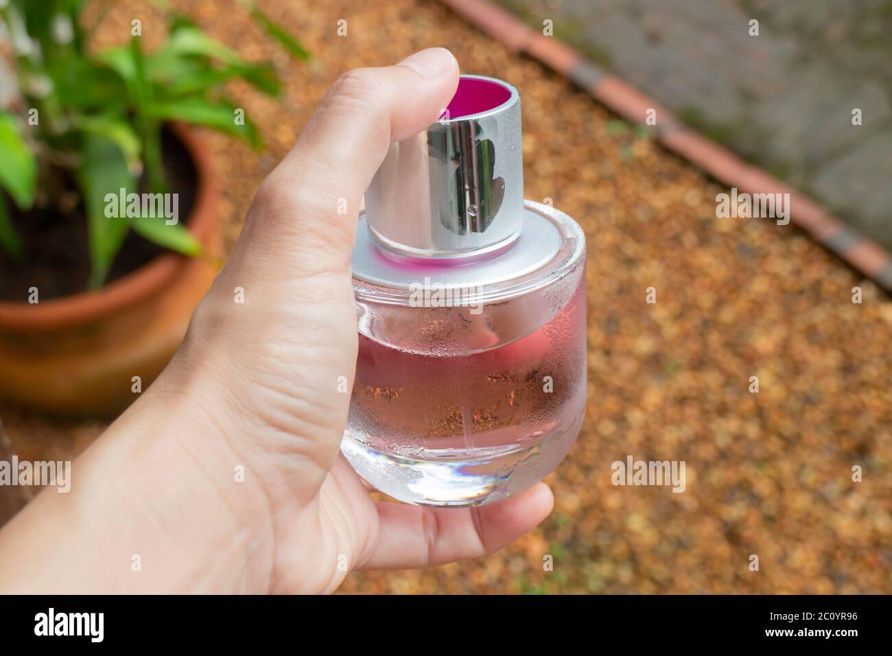 Woman hand show and hold perfume bottle, stock photo Stock Photo - Alamy