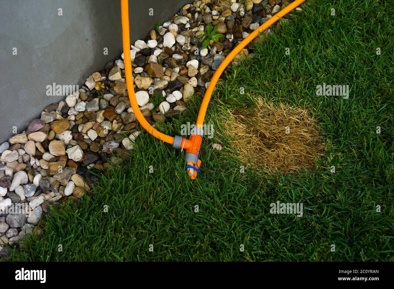 Water running from damaged hose, outdoor close-up Stock Photo - Alamy