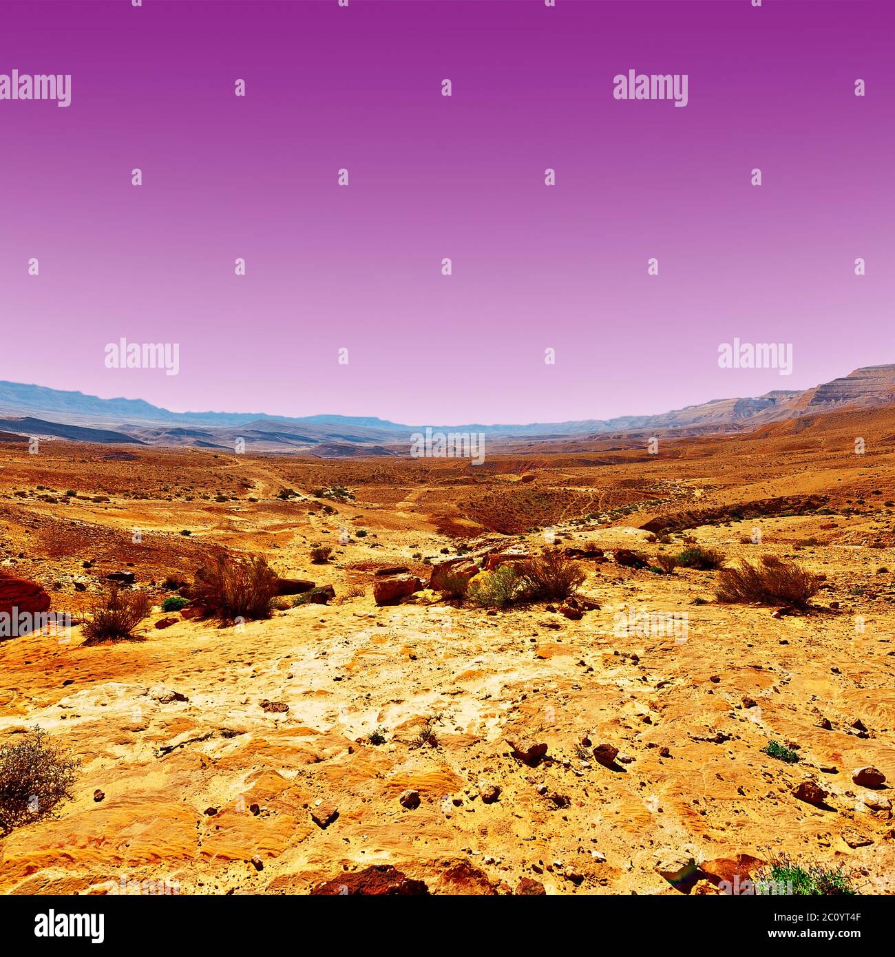 Negev israel sunset hi-res stock photography and images - Alamy