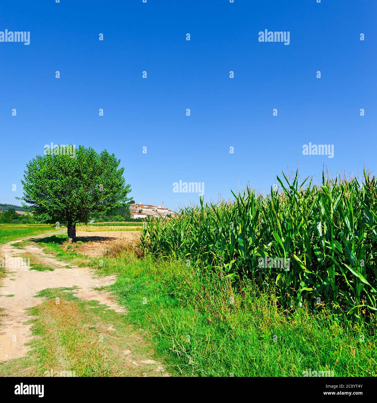 Dirt road exterior hi-res stock photography and images - Alamy