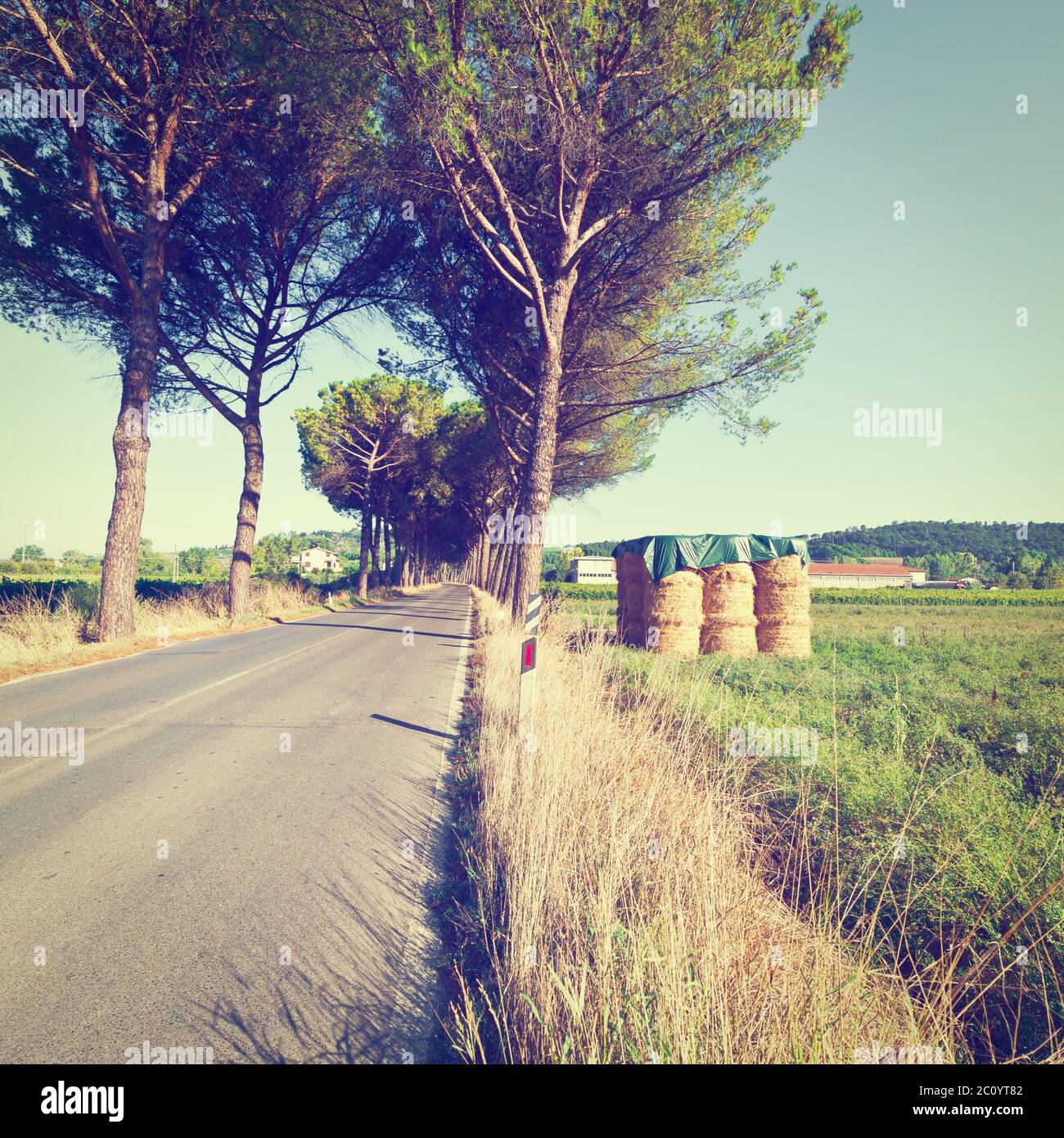 Stright road hi-res stock photography and images - Alamy