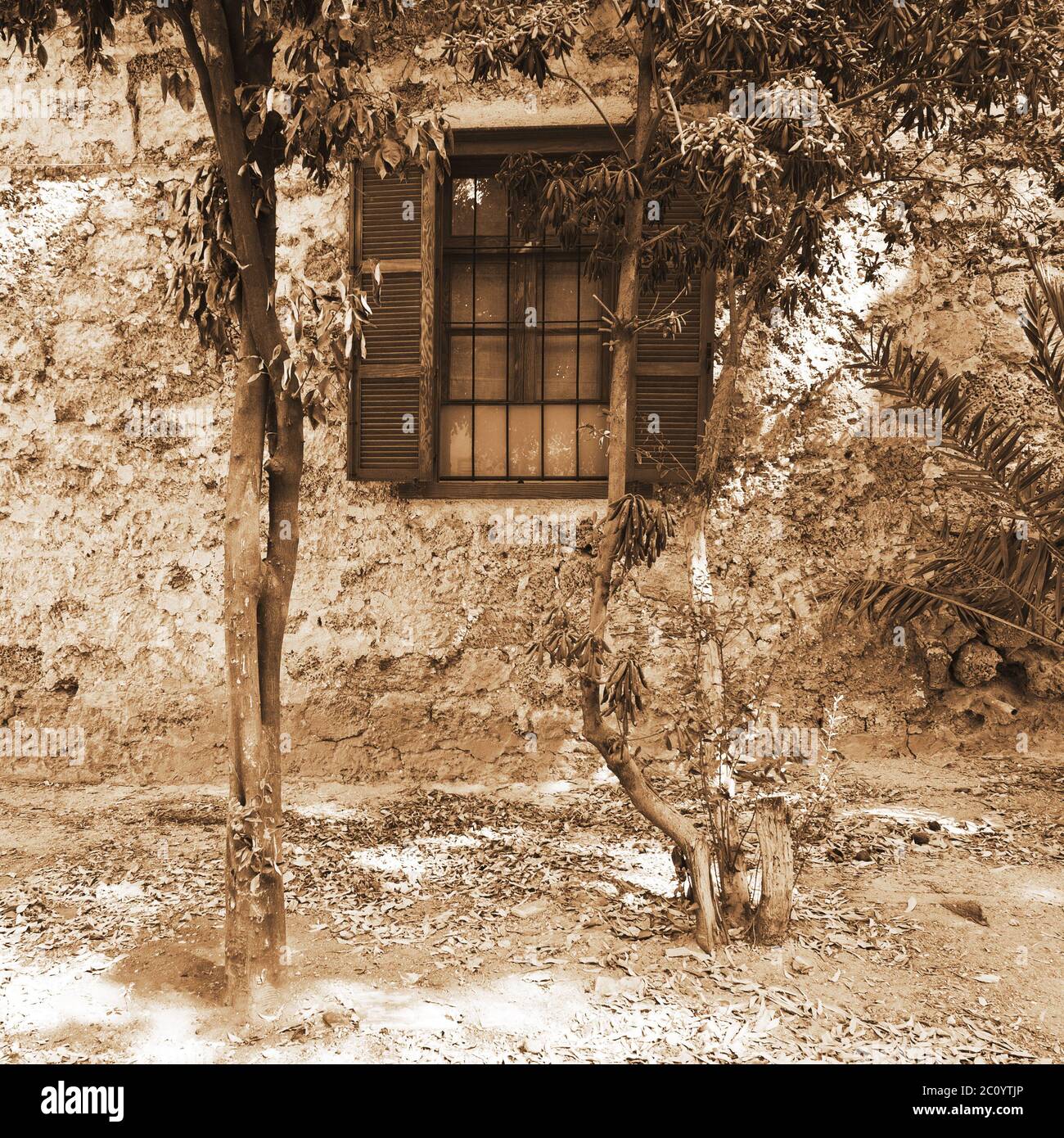 Window and Trees Stock Photo - Alamy