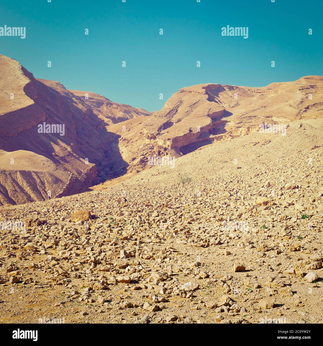 Palestine sand hi-res stock photography and images - Alamy