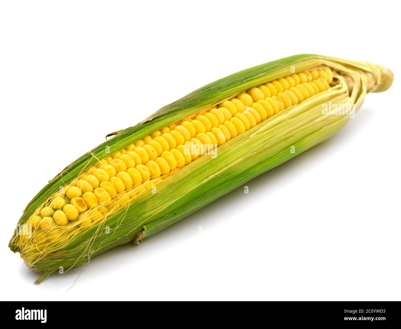Raw ear corn hi-res stock photography and images - Alamy
