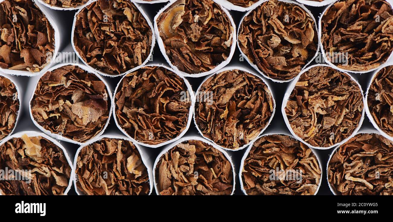 Closeup of Tobacco Cigarettes Background or texture Stock Photo - Alamy