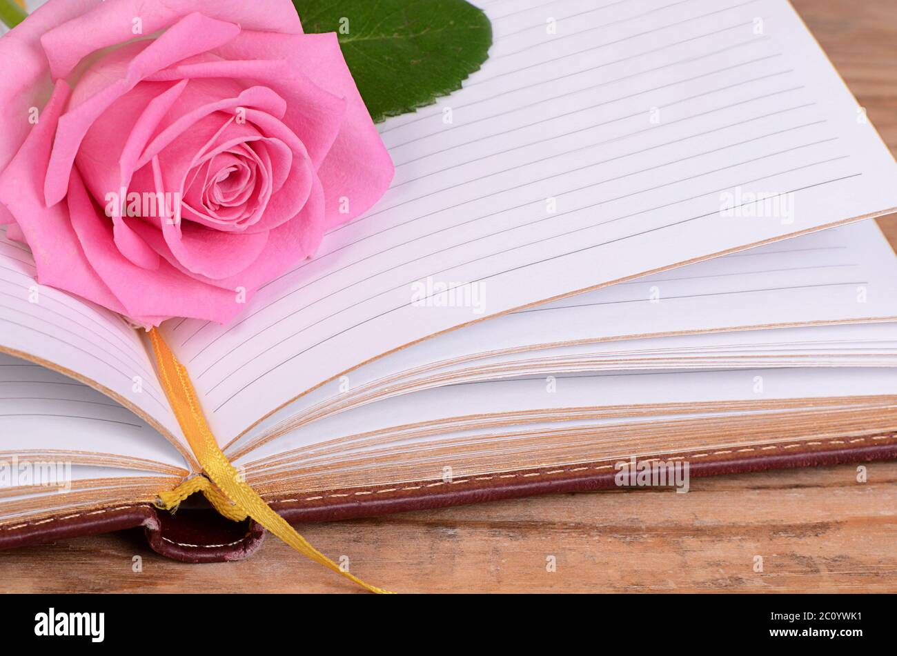 The rose on the book Stock Photo - Alamy