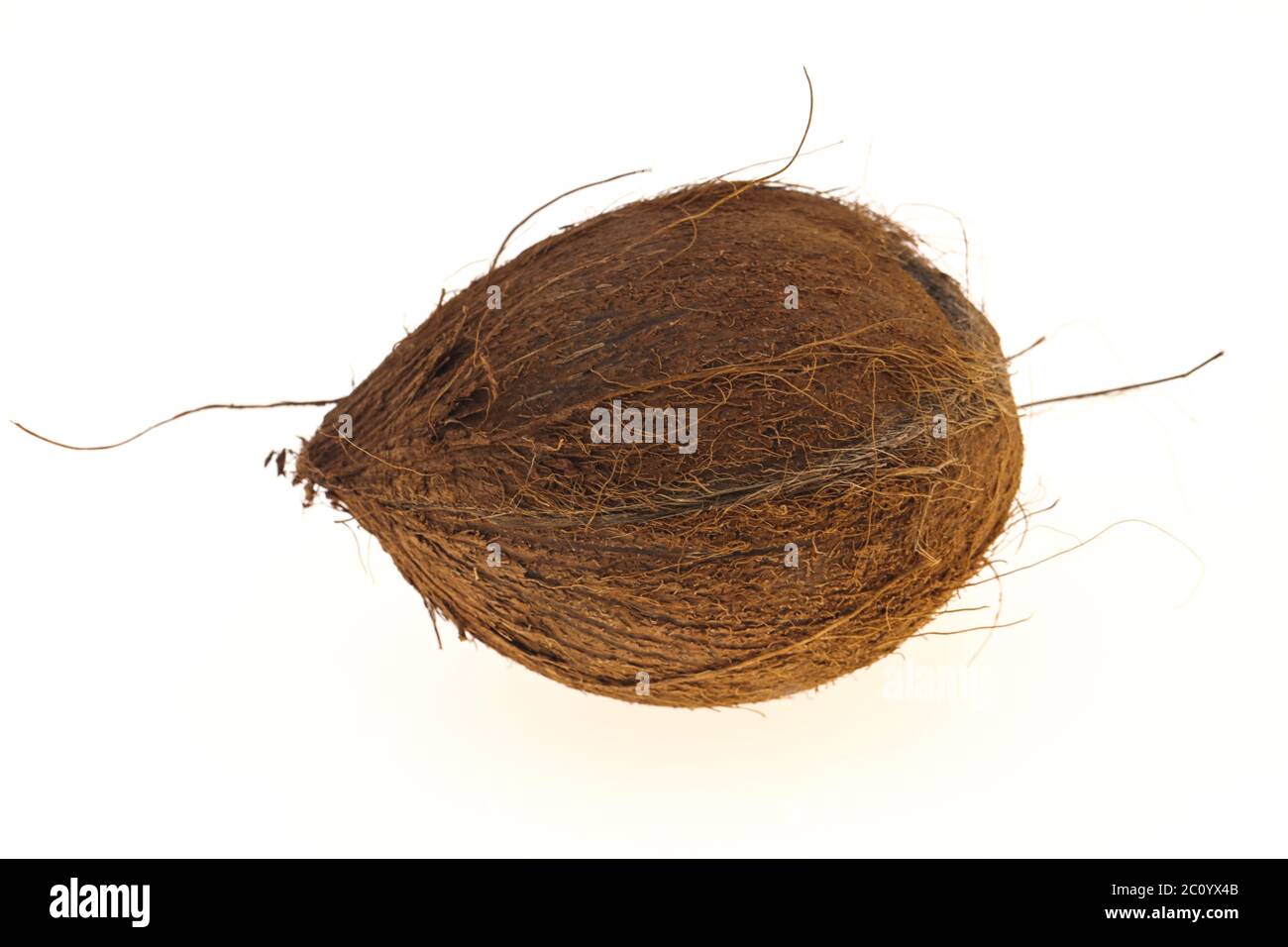 Ripe Coconut isolated on white background Stock Photo - Alamy