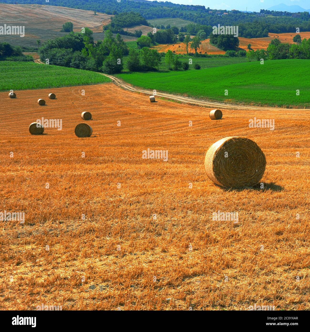 Hay bail field sunset hi-res stock photography and images - Alamy