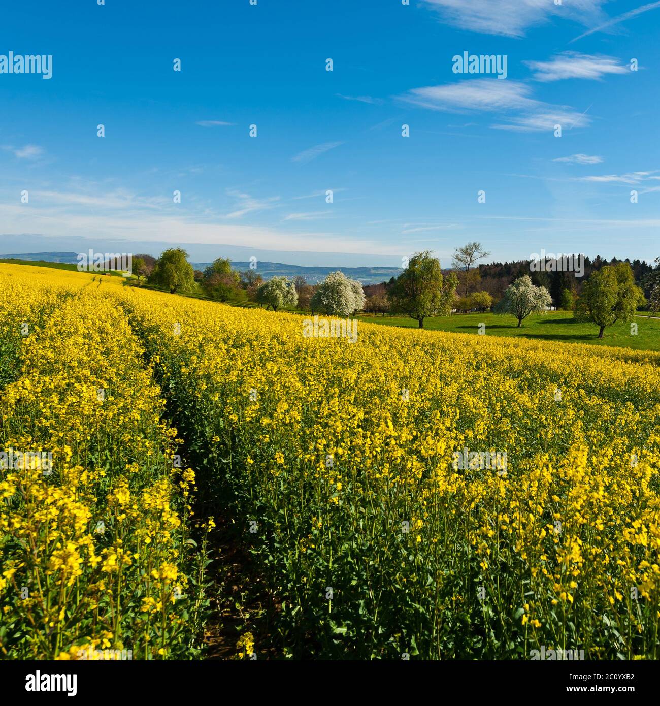 Sloping meadows hi-res stock photography and images - Alamy