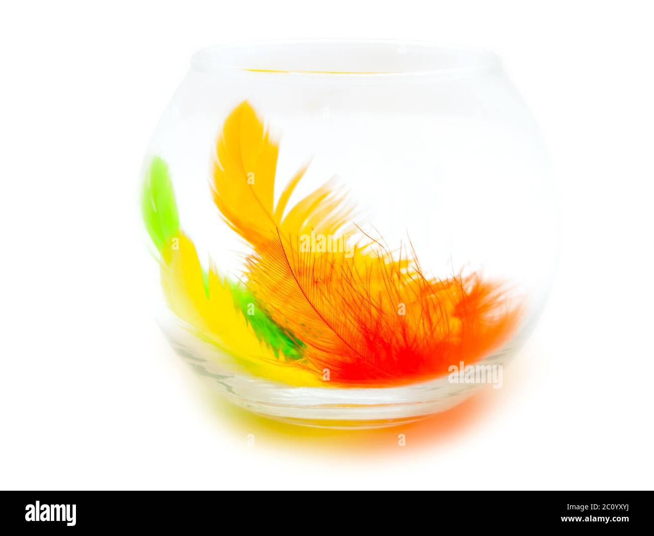 Feathers glass hi-res stock photography and images - Alamy