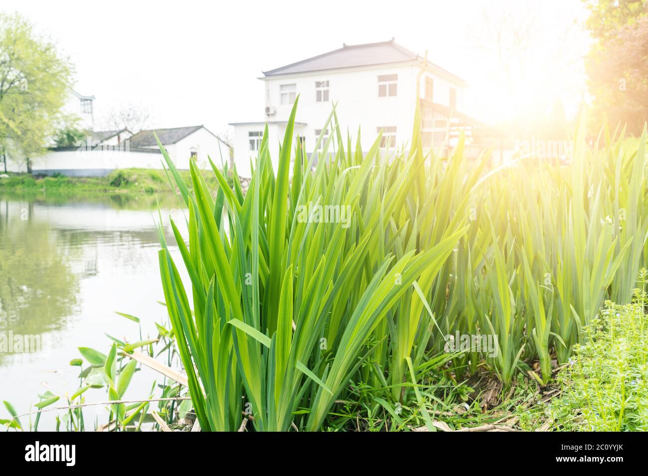 Water sunbeam hi-res stock photography and images - Alamy