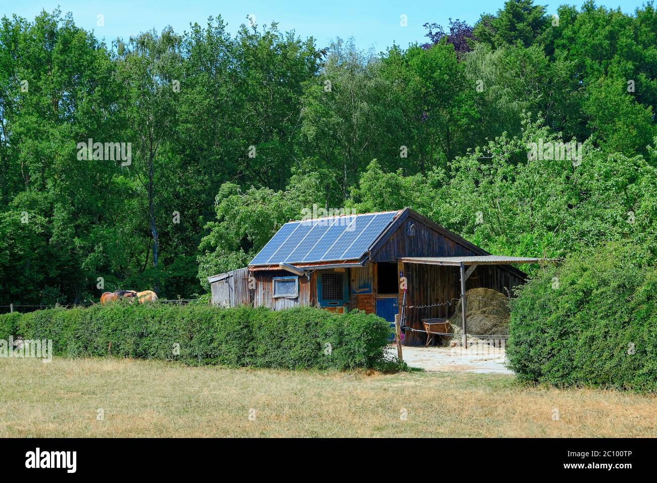 Wooden shack with solarpanels in a field with green trees and horses ...