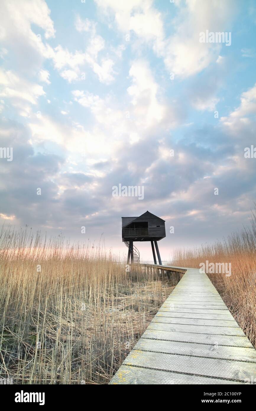 Observation tower swamp hi-res stock photography and images - Alamy