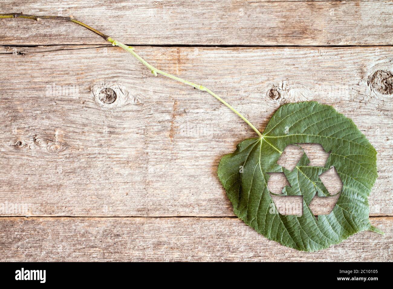Leaf with a cutout of a recycle symbol Stock Photo - Alamy