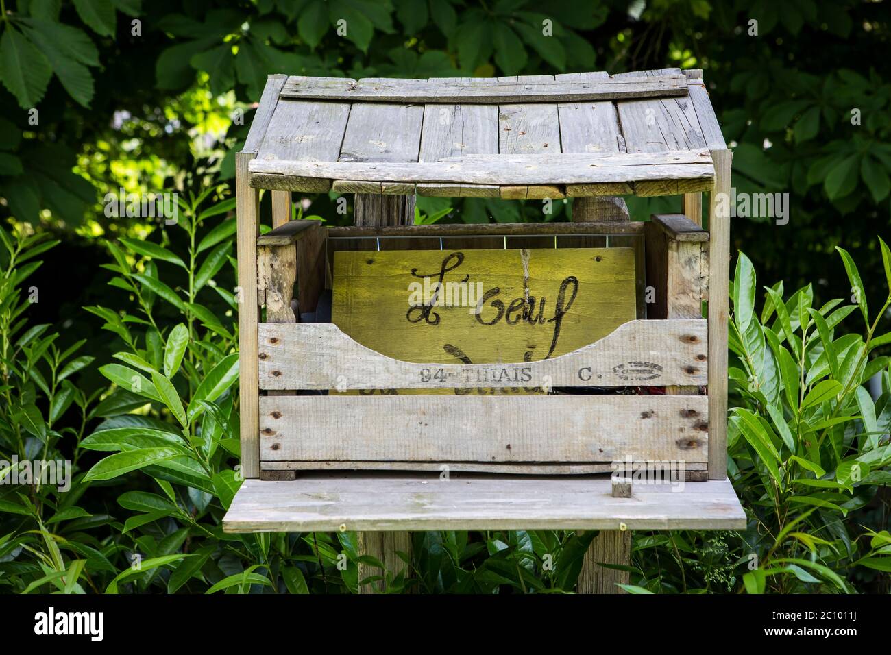 Handmade DIY honesty egg box in the Loire region of France Stock Photo ...