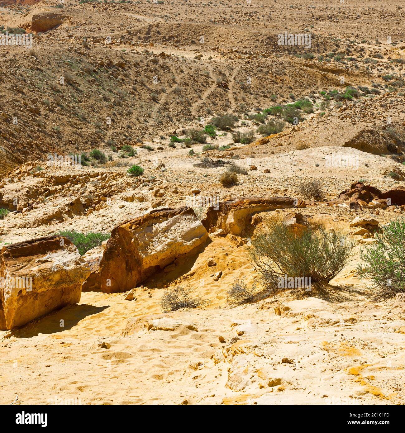Stones in Desert Stock Photo - Alamy