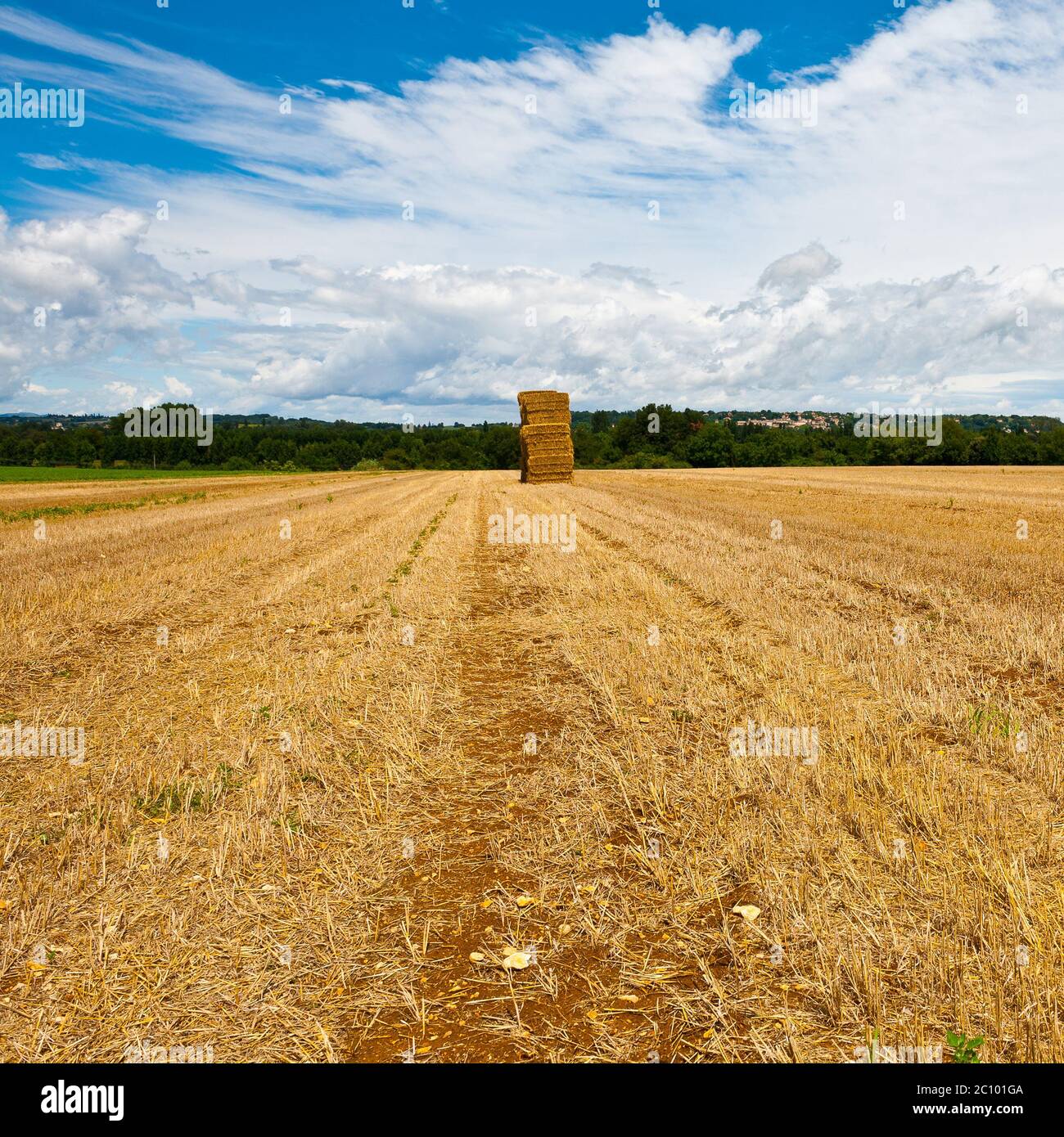 Dry hay hi-res stock photography and images - Alamy