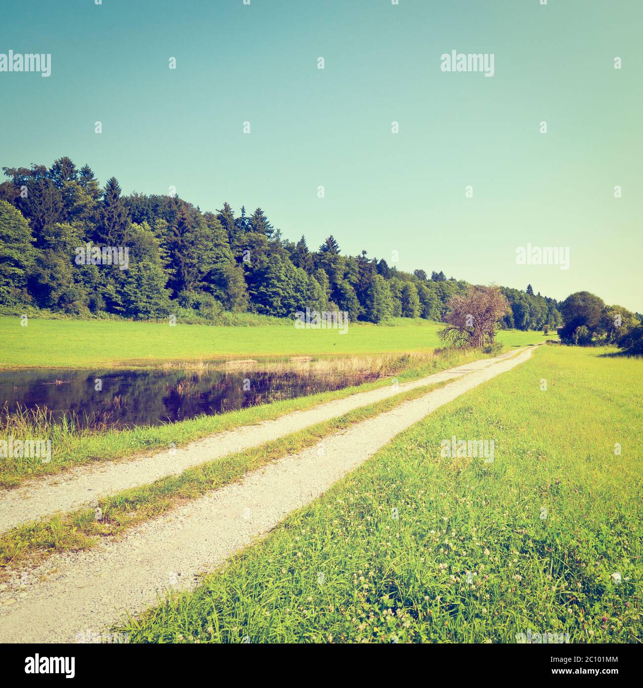 Farmstead pond hi-res stock photography and images - Alamy