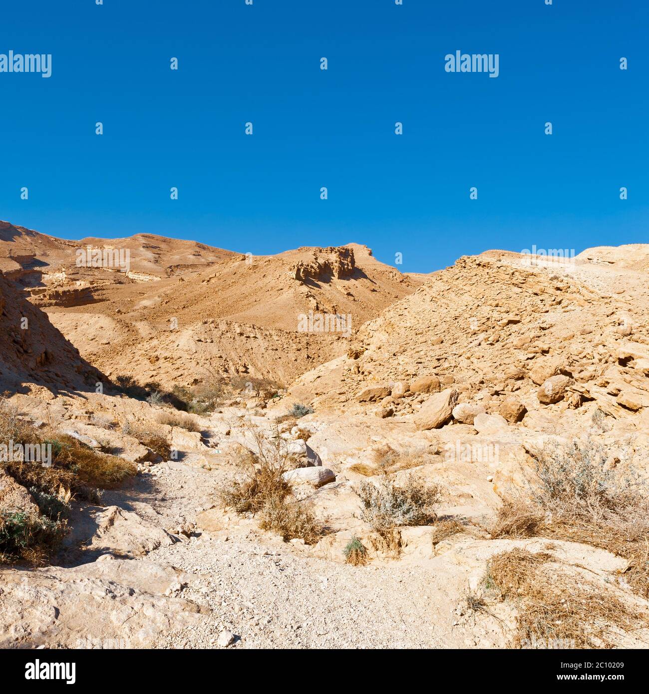 Wadi negev desert hi-res stock photography and images - Alamy