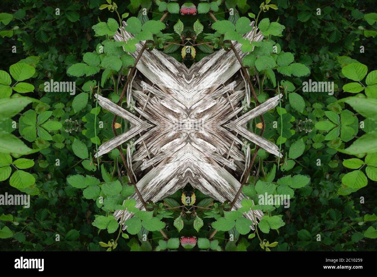 Flower and Tree abstract backgrounds Stock Photo - Alamy