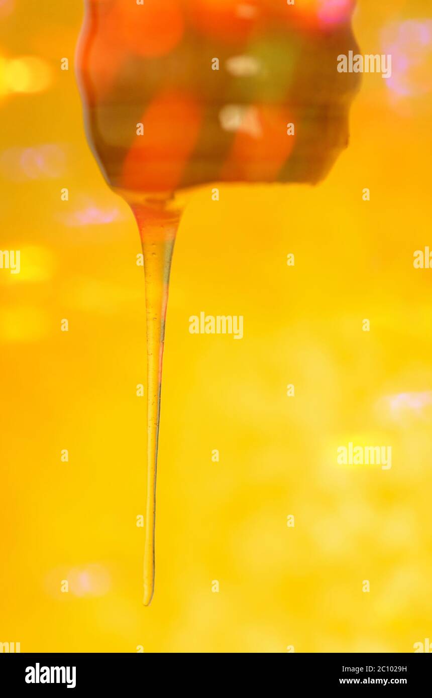 Melted caramel dripping. Pouring stream of caramel sauce. Hot sweet ...