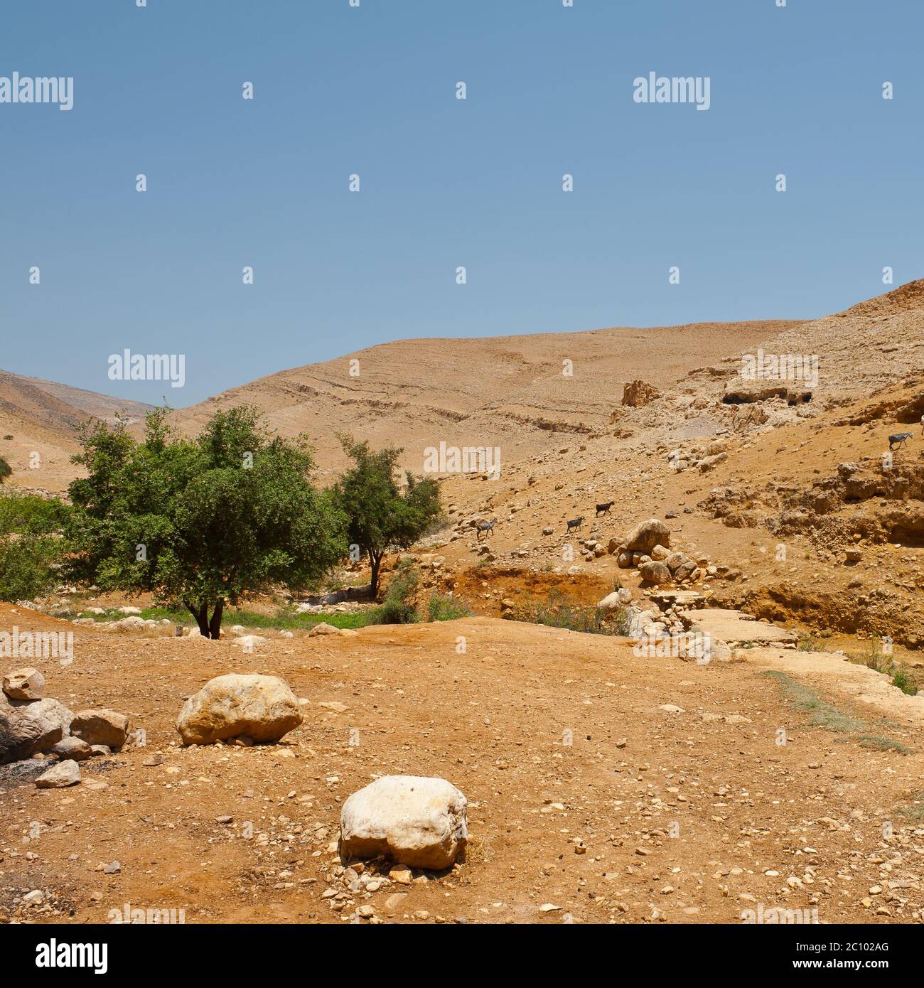 Oasis crater hi-res stock photography and images - Alamy