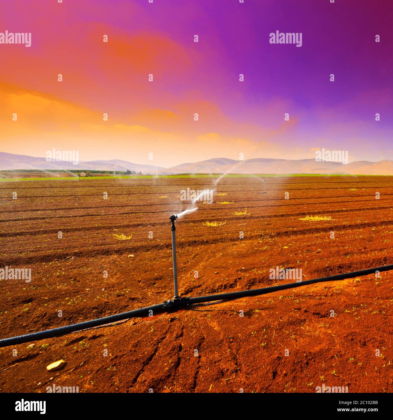 Drop watering hi-res stock photography and images - Alamy