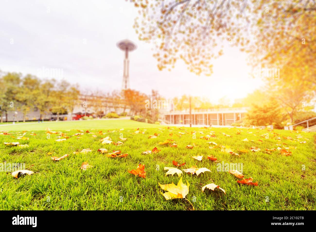 Green grassland hi-res stock photography and images - Alamy