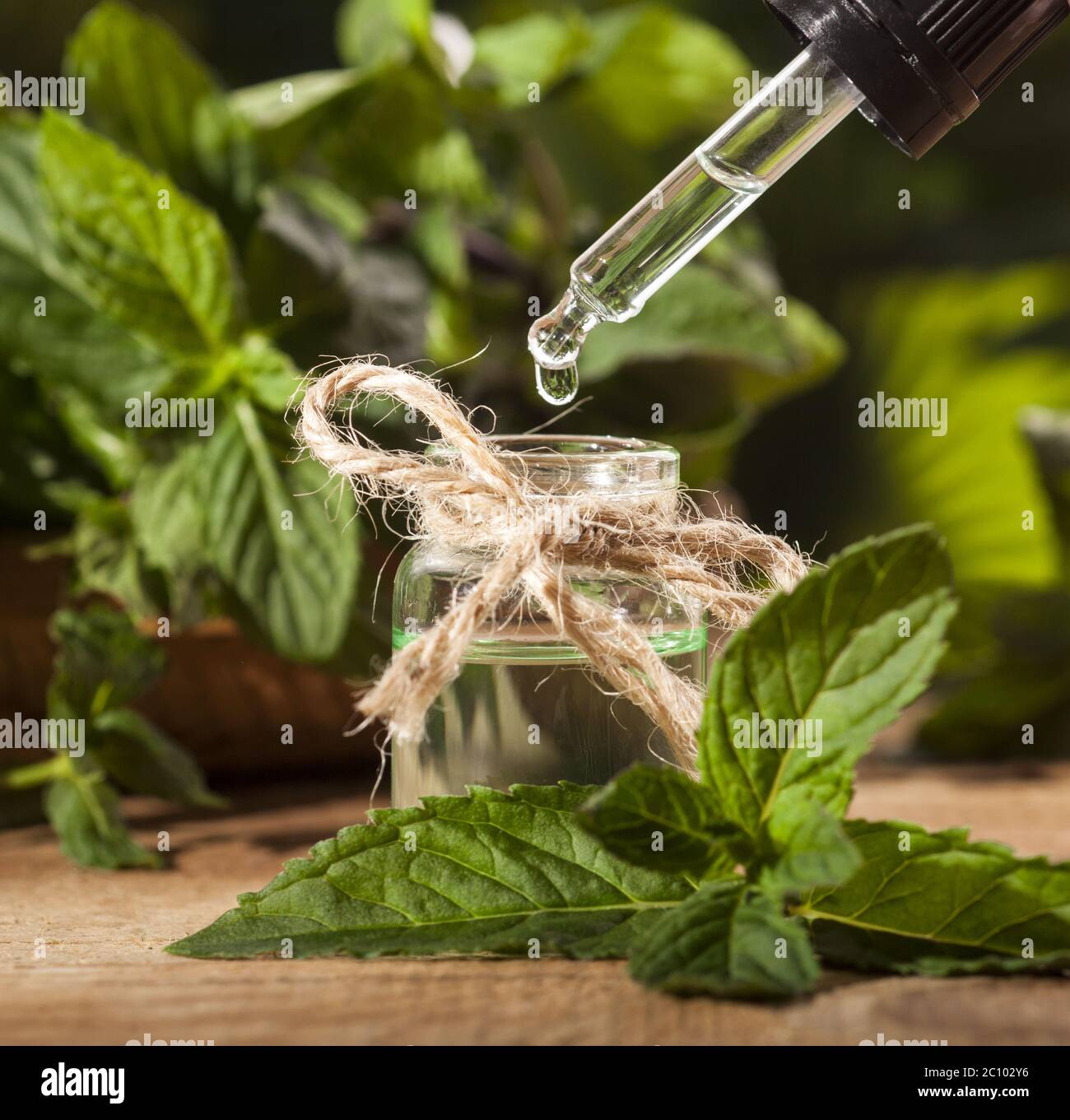 Peppermint oil dropper hi-res stock photography and images - Alamy