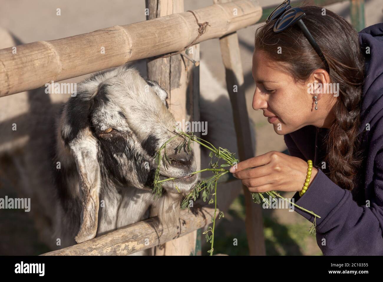 Woman with goat hi-res stock photography and images - Alamy