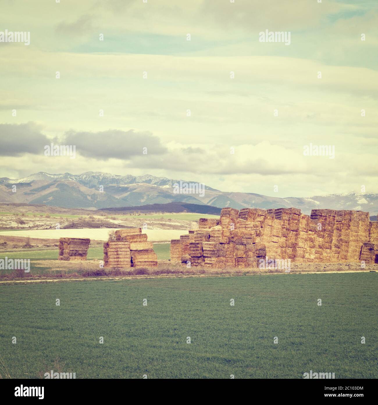 Spring fields hi-res stock photography and images - Alamy