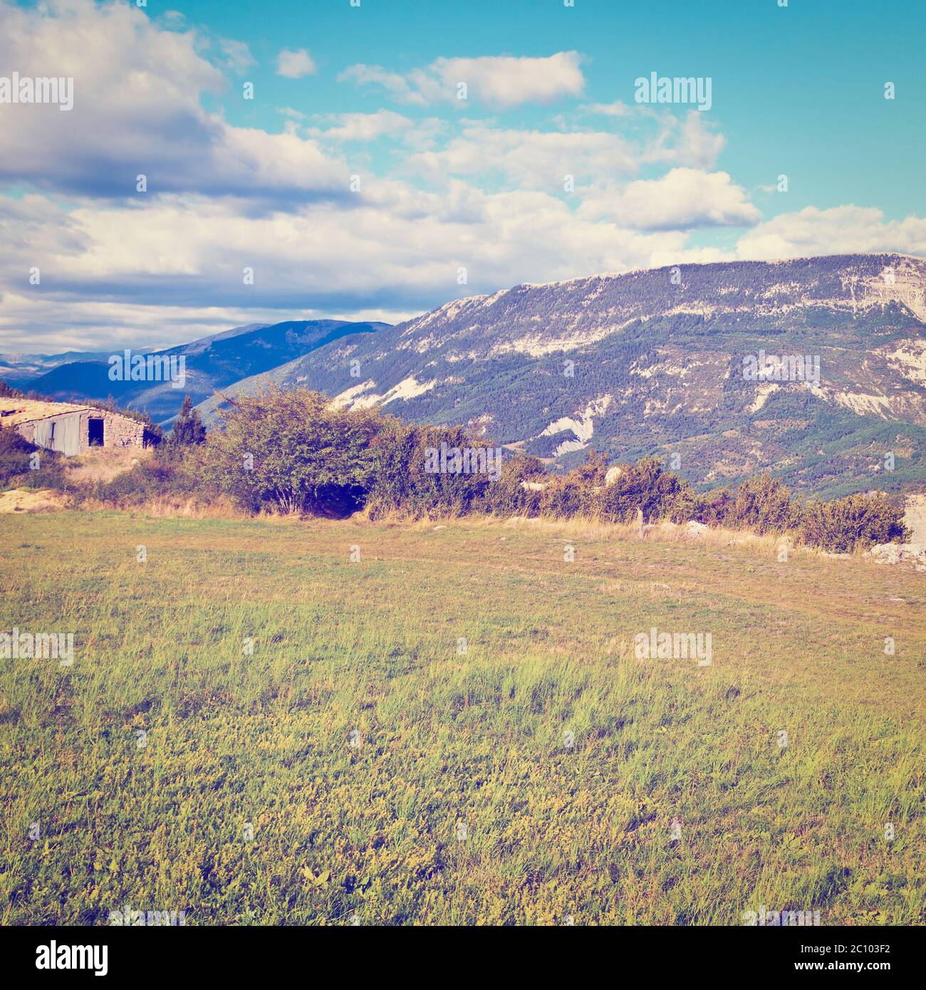 Cow house hi-res stock photography and images - Alamy