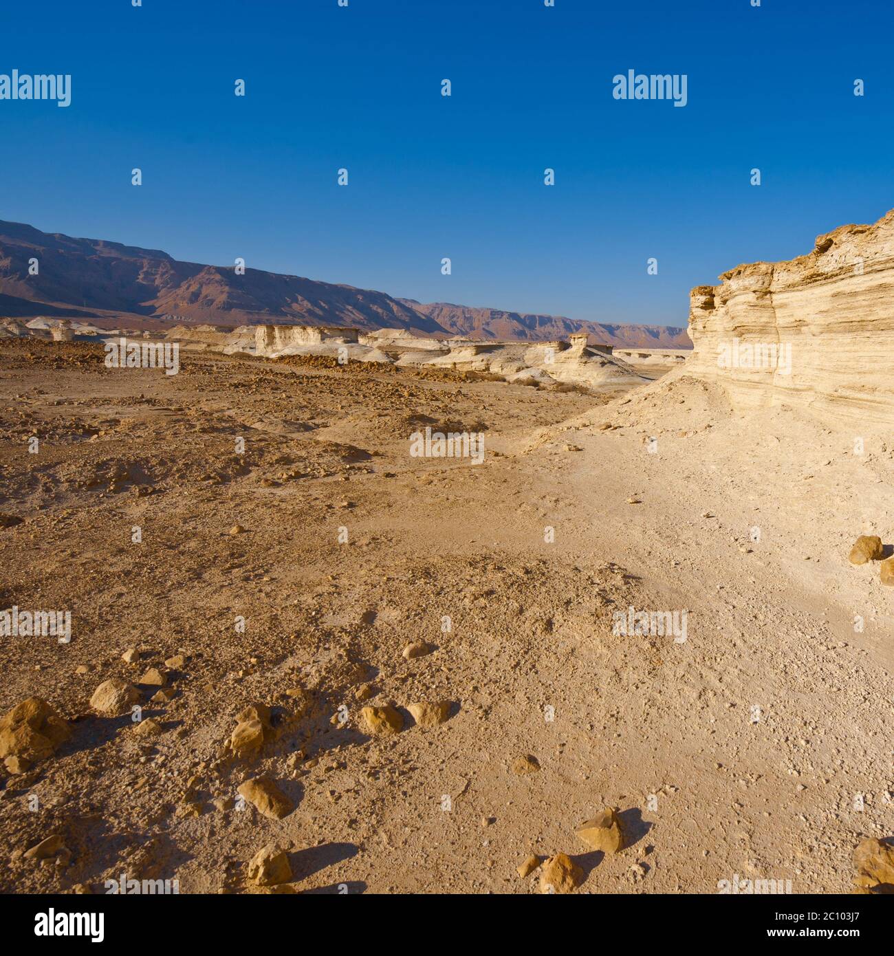 Sandy landscape hi-res stock photography and images - Alamy