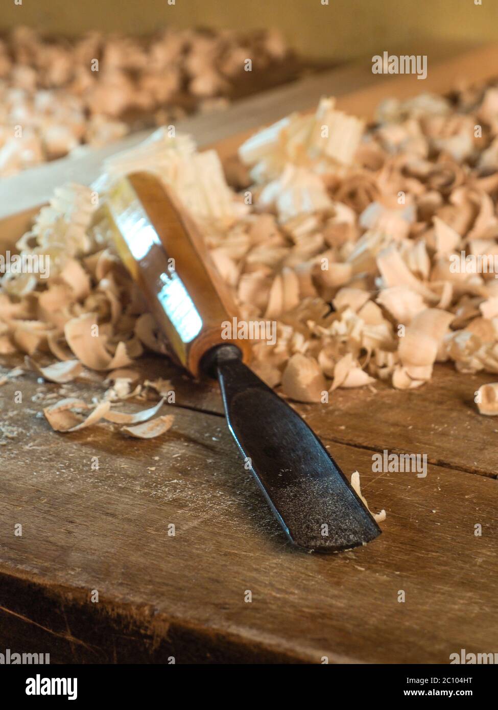 Professional luthier violinmaker artisan working on making a handmade ...