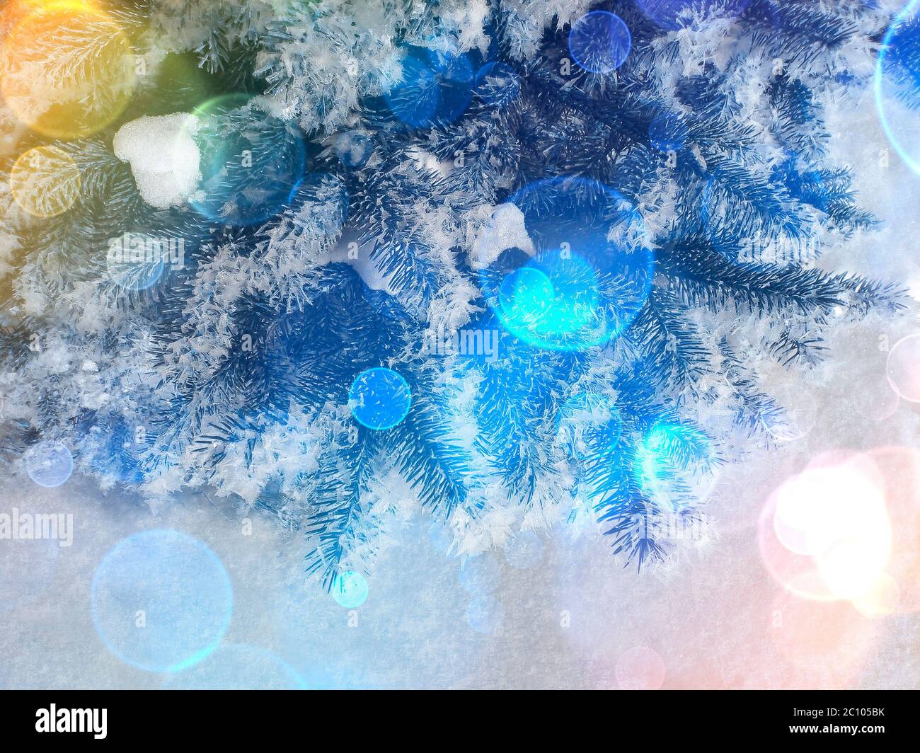 Pine tree covered with ice hi-res stock photography and images - Alamy