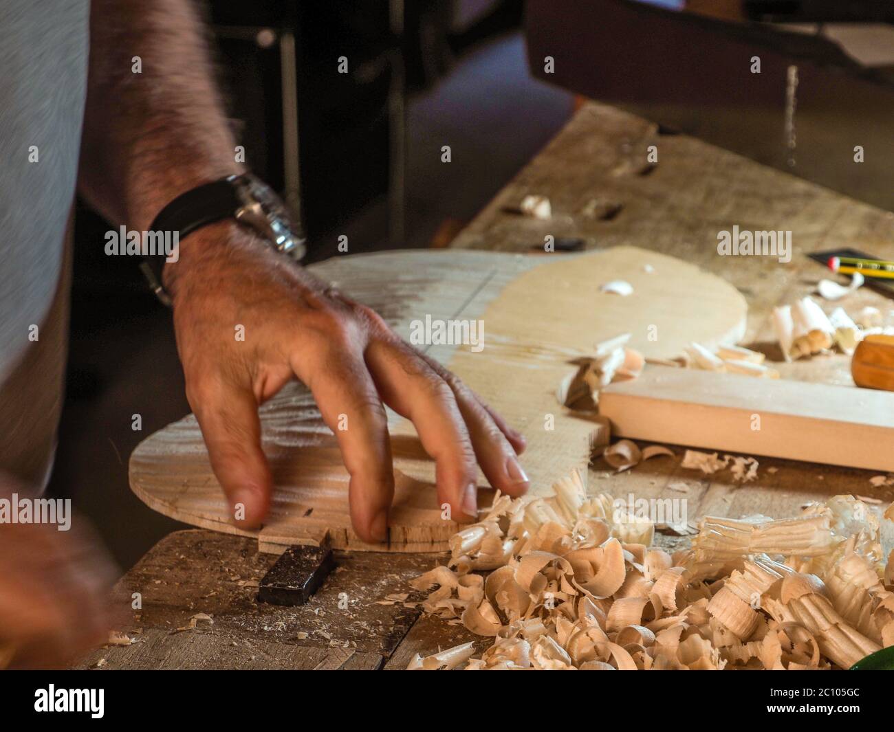 Professional luthier violinmaker artisan working on making a handmade ...