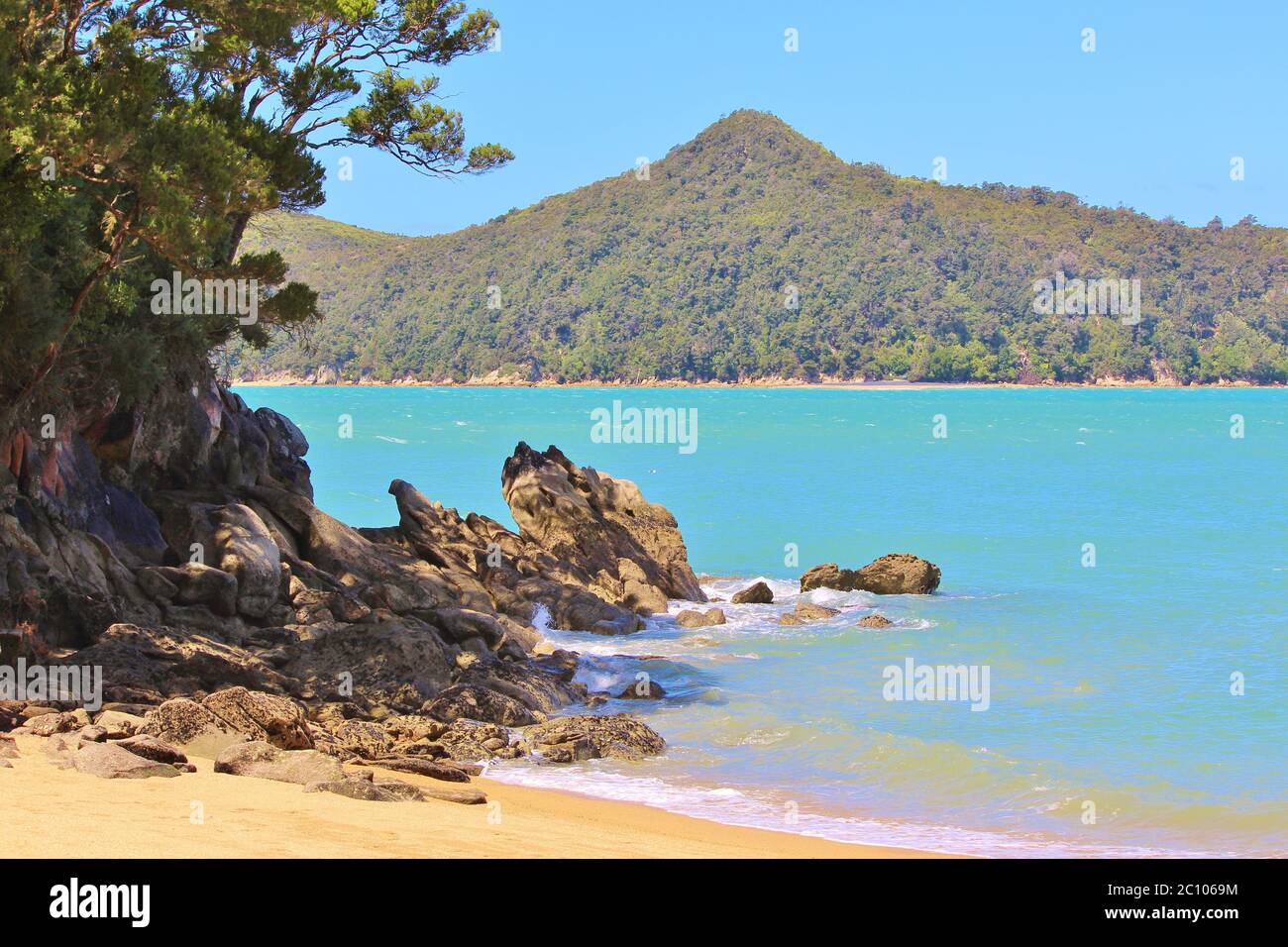 Magnificent Apple Tree Bay with Pines on the Beach in Abel Tasman ...