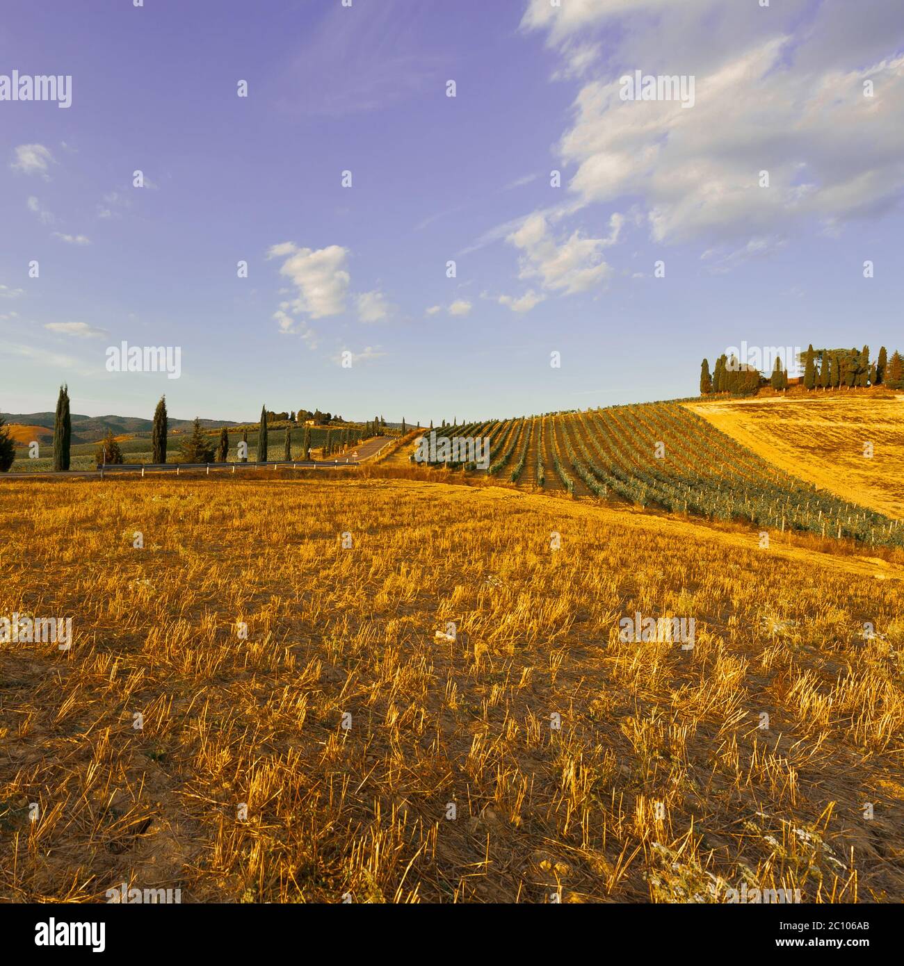 Tuscany barn hi-res stock photography and images - Alamy